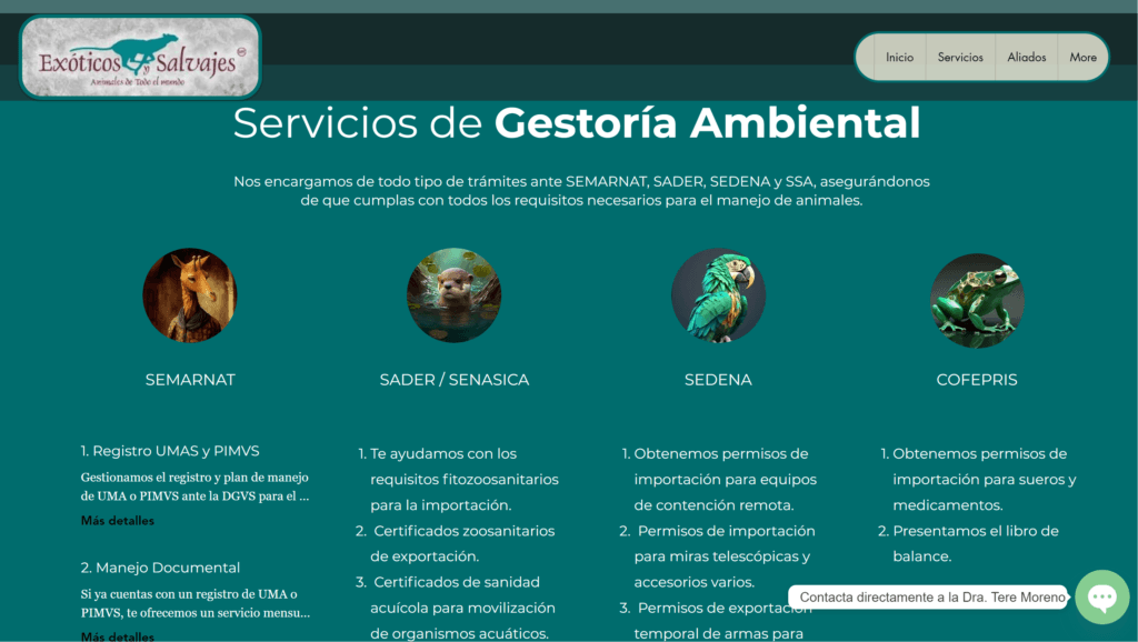 Websites Development Agency - 💎KRYZTAL💎